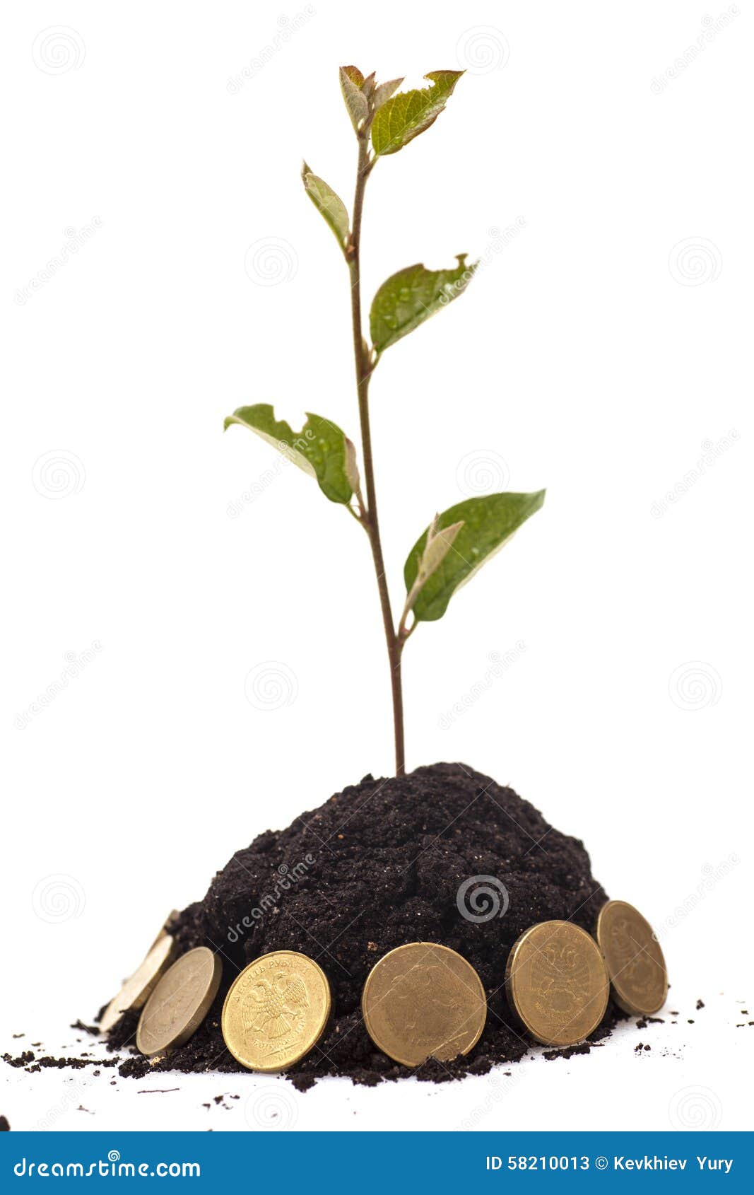 Tree Growing from Pile of Coins in Soil Stock Image - Image of growing ...