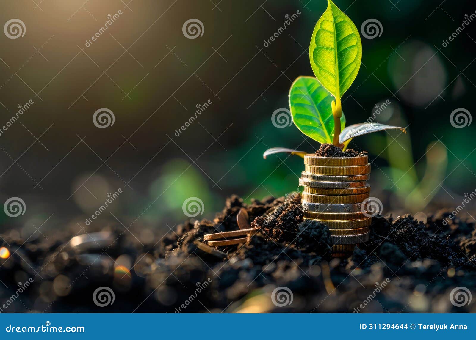 Tree Growing on Pile of Coins. a Stack of Coins Growing from the Ground ...