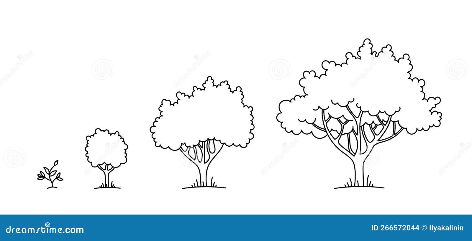 Tree Growing Process. Development Stage. Orchard Garden. Sizes from ...