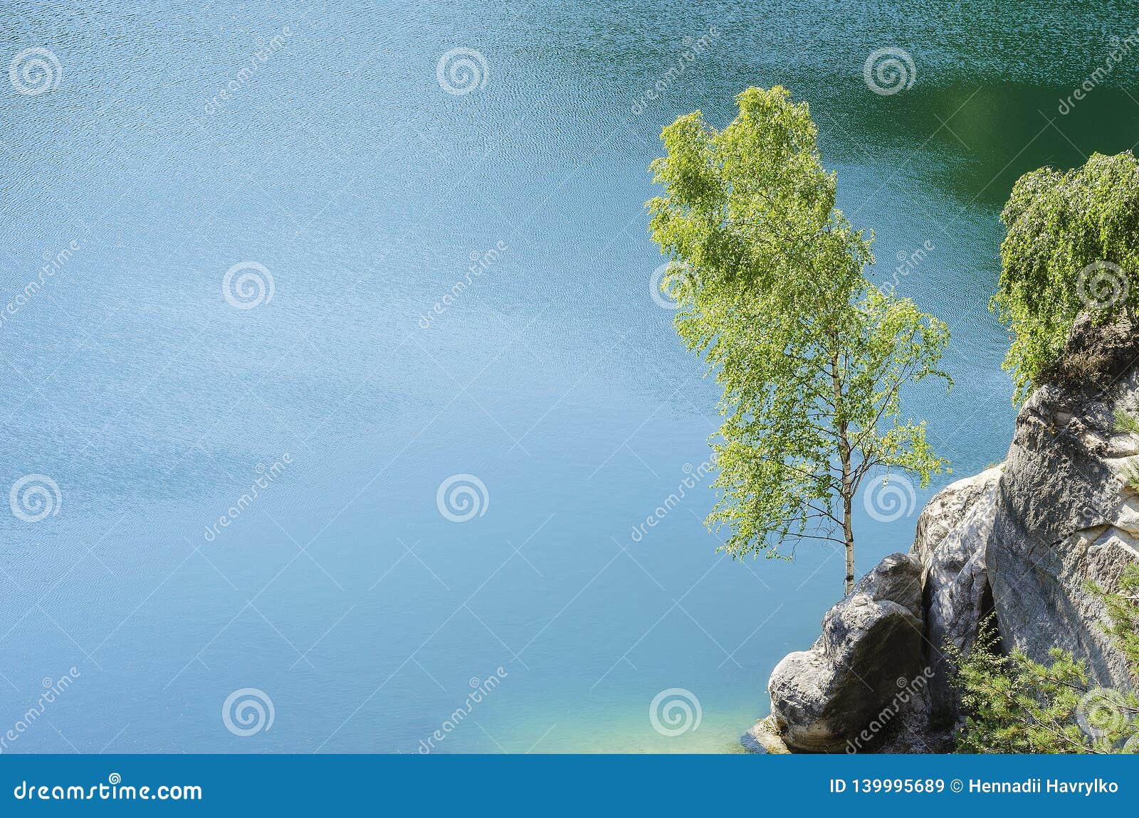 Tree Growing on a Rock Against the Backdrop of a Lake Stock Image ...