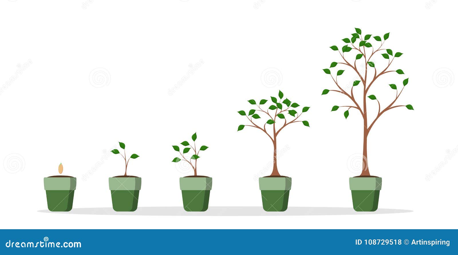 Tree growing set. stock vector. Illustration of design - 108729518
