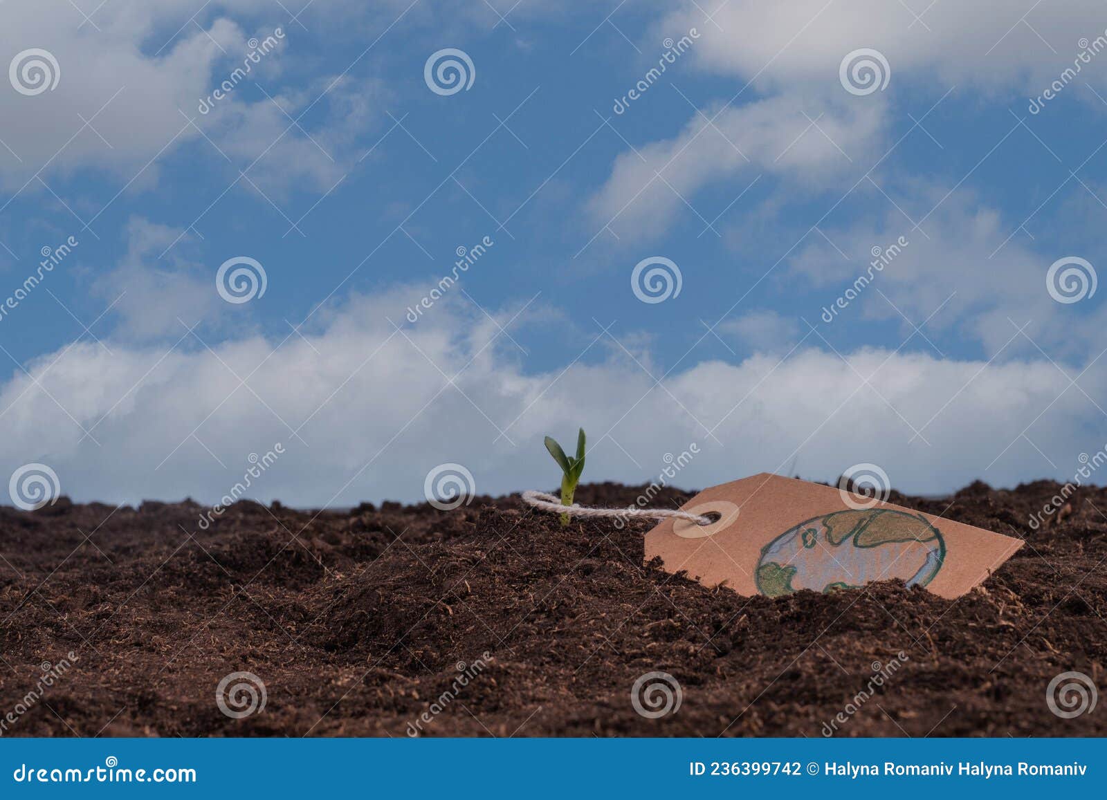 Tree Growing from the Soil on a Background the Sky with the Tag Drawn ...