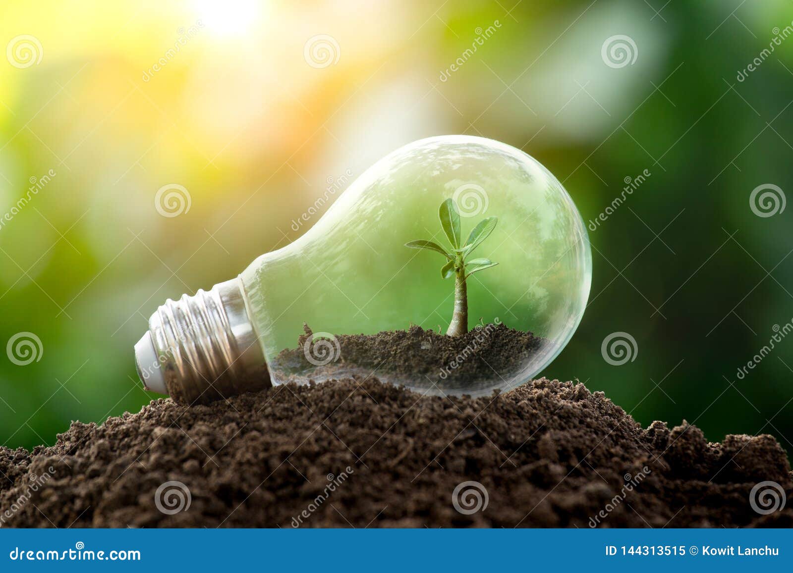 The Tree Growing on the Soil in a Light Bulb. Creative Ideas of Earth ...