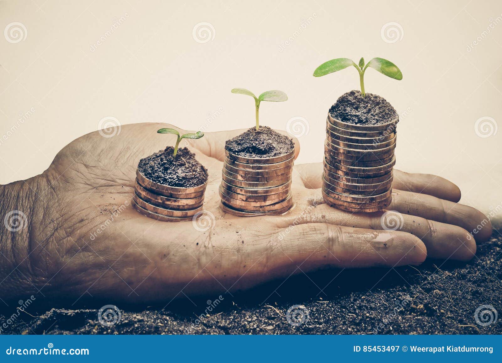 Tree Growing on Stack of Coins Stock Image - Image of graph, concept ...