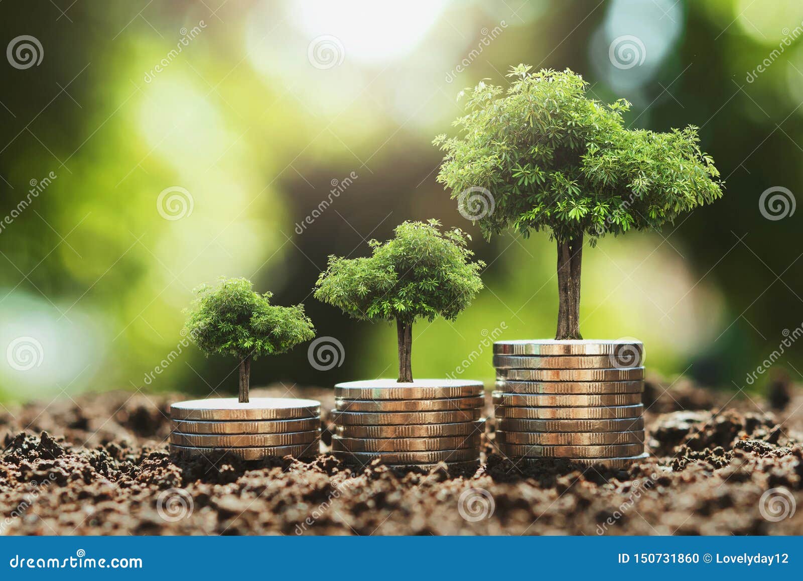 Tree Growing Step on Coins. Concept Finance and Accounting Stock Photo ...