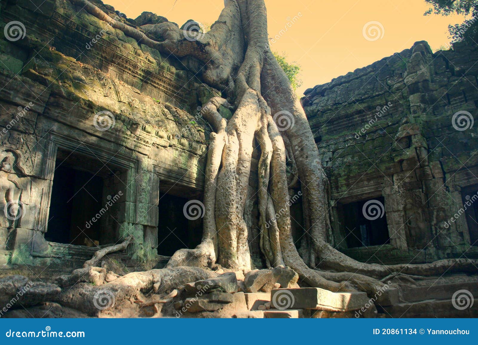 Tree Growing on Ta Prom Temple Stock Photo - Image of cambodia, voyage ...