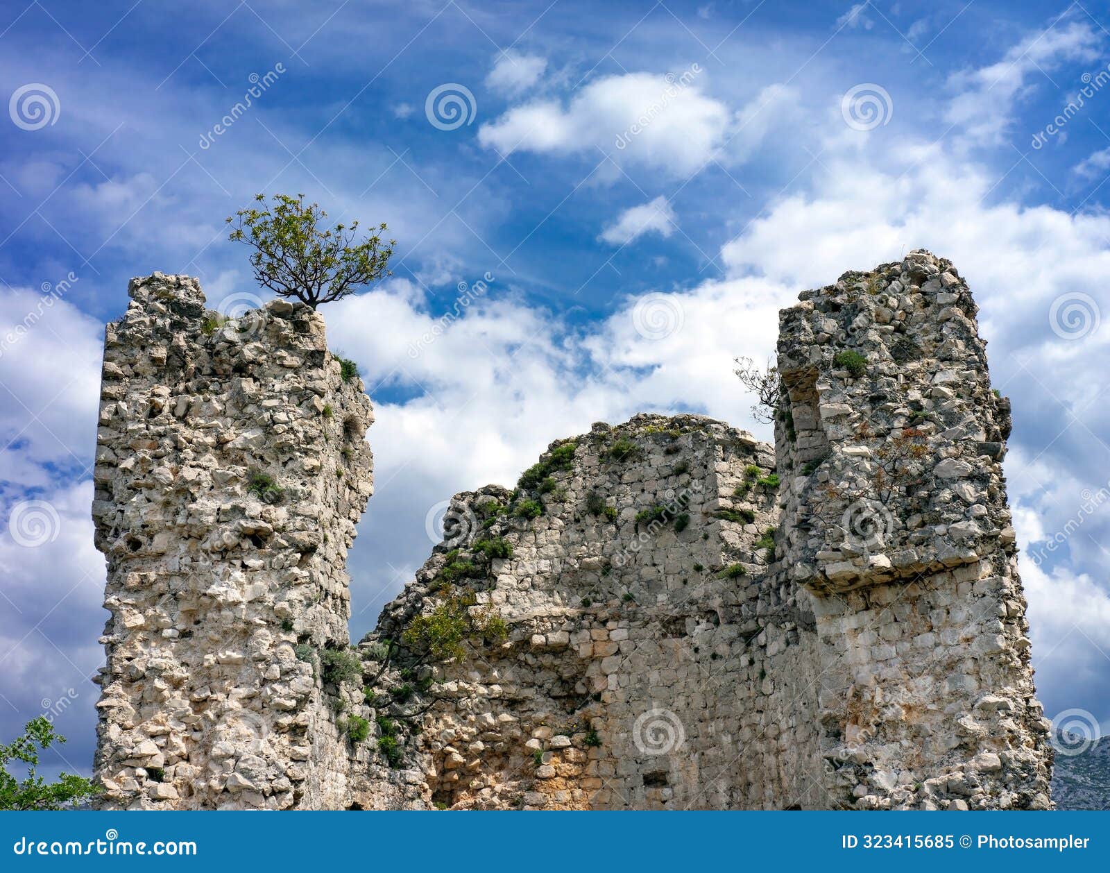 Tree is Growing on Top of Old Castle Remain Named Vecka Kula Editorial ...