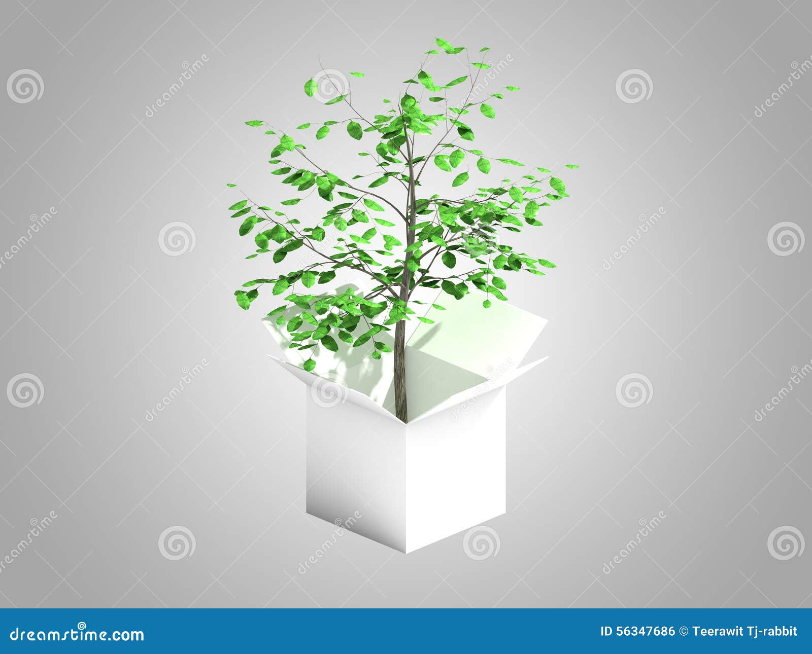 A Tree Growing from a White Cardboard Box Stock Illustration ...