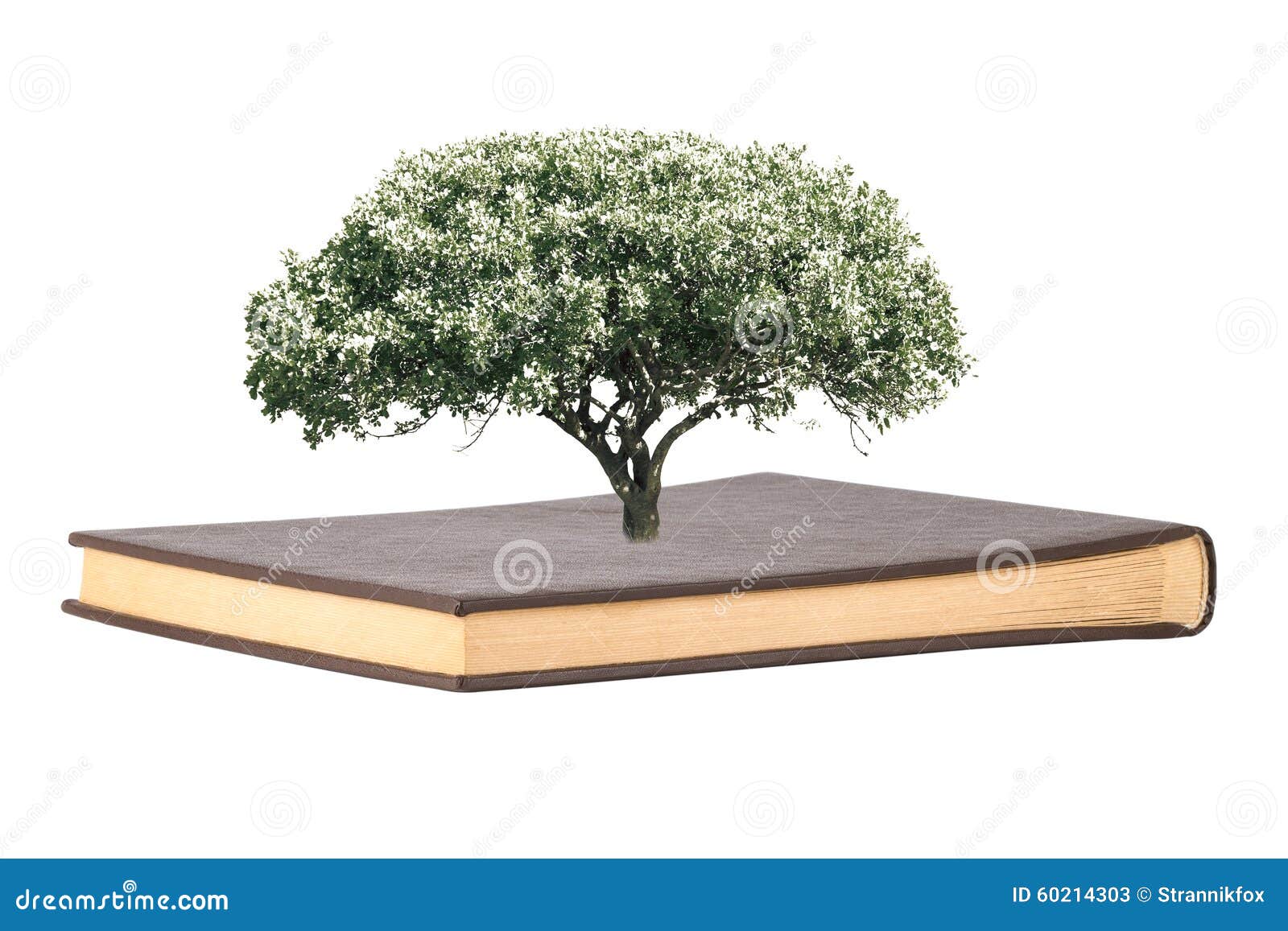 Tree Grows from the Book on White Background Stock Illustration ... Tree Grows from the Book on White Background Stock Illustration ...