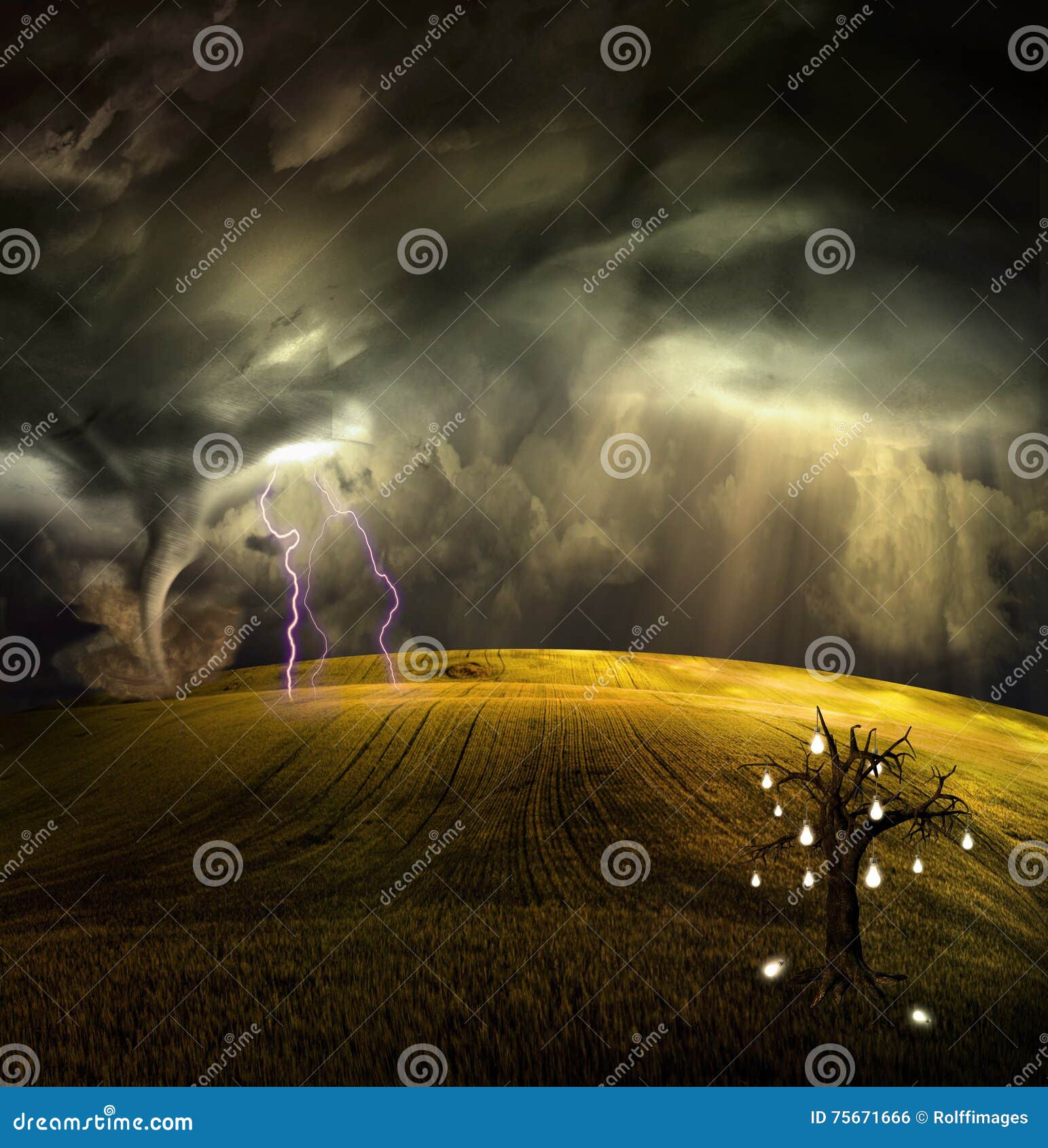 Tree Grows Fruit of Concepts in Storm Stock Illustration - Illustration ...