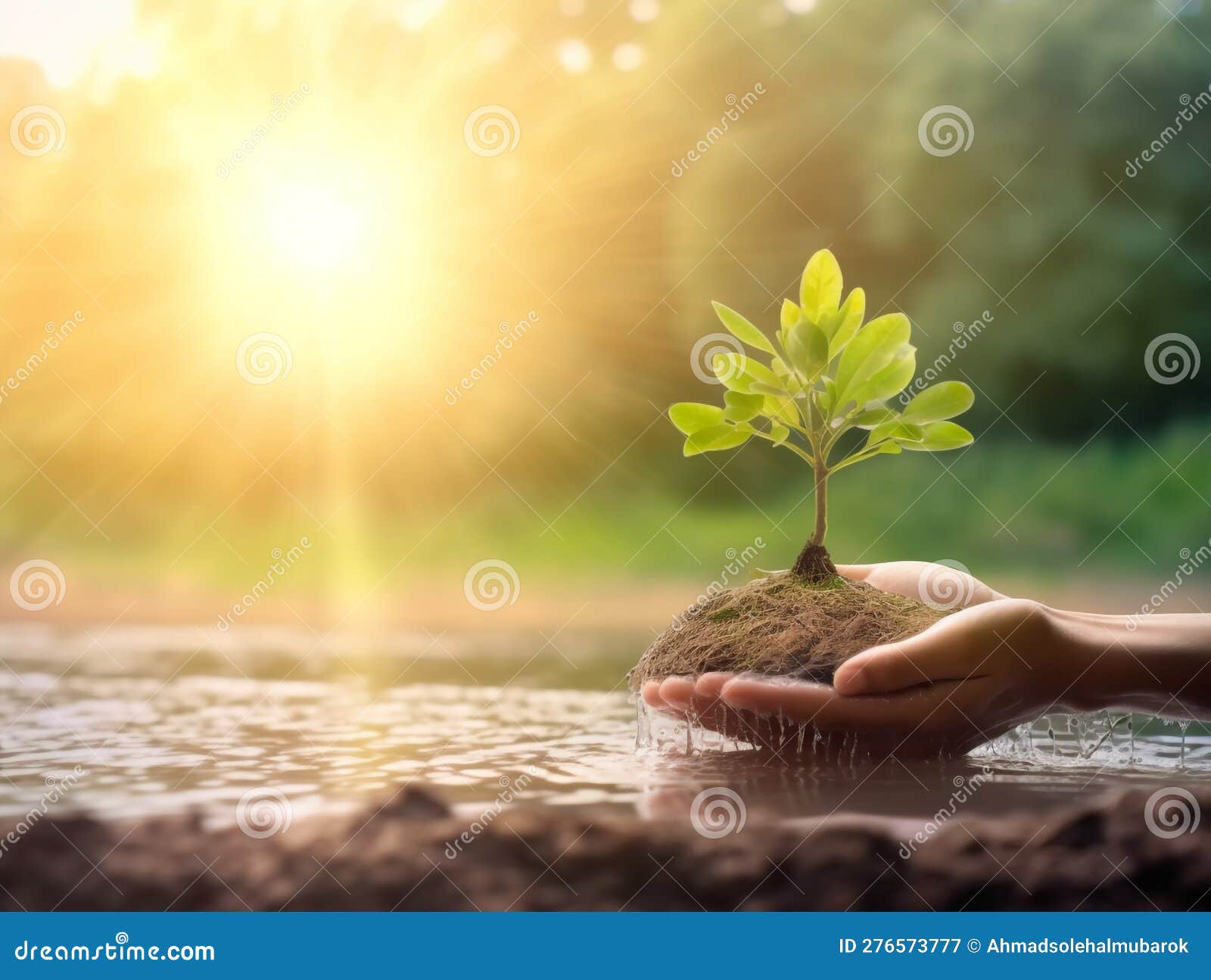 A Tree Grows on Hand, Forest Conservation Concept Stock Illustration ...