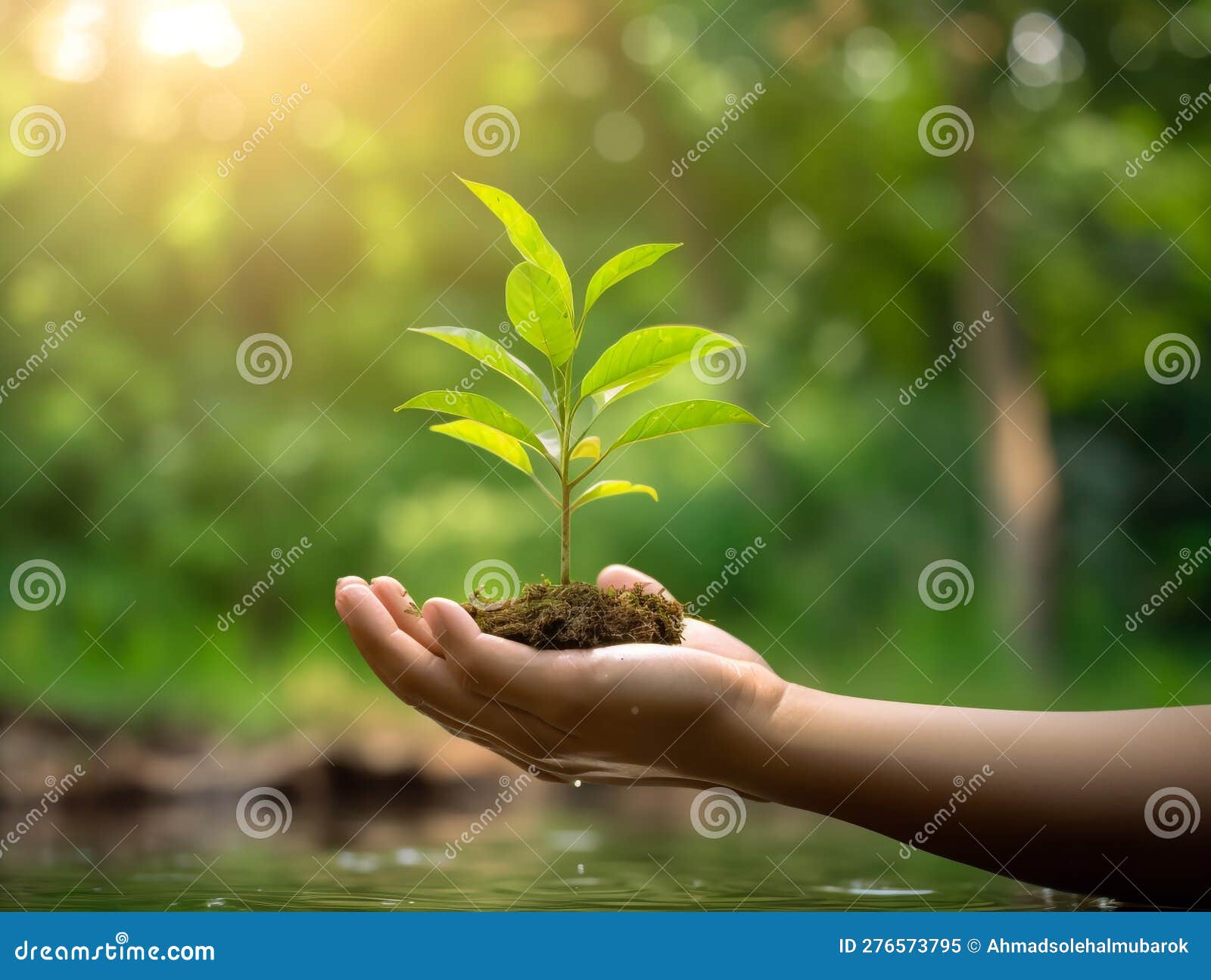 A Tree Grows on Hand, Forest Conservation Concept Stock Illustration - Illustration of planet ...