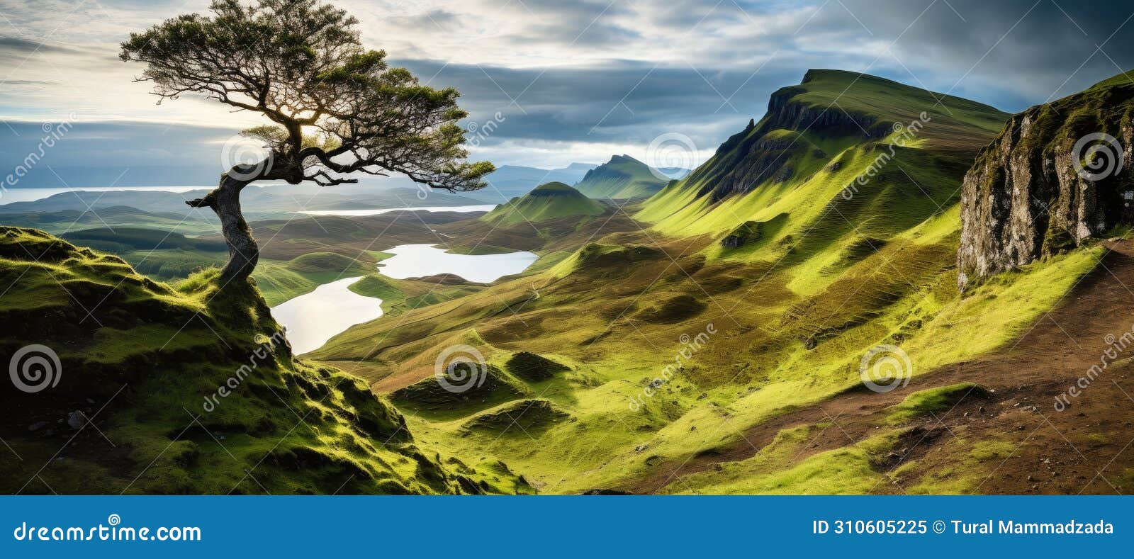 A Tree Grows on a Mountain Side, Amidst Clouds, Sky, and Natural ...