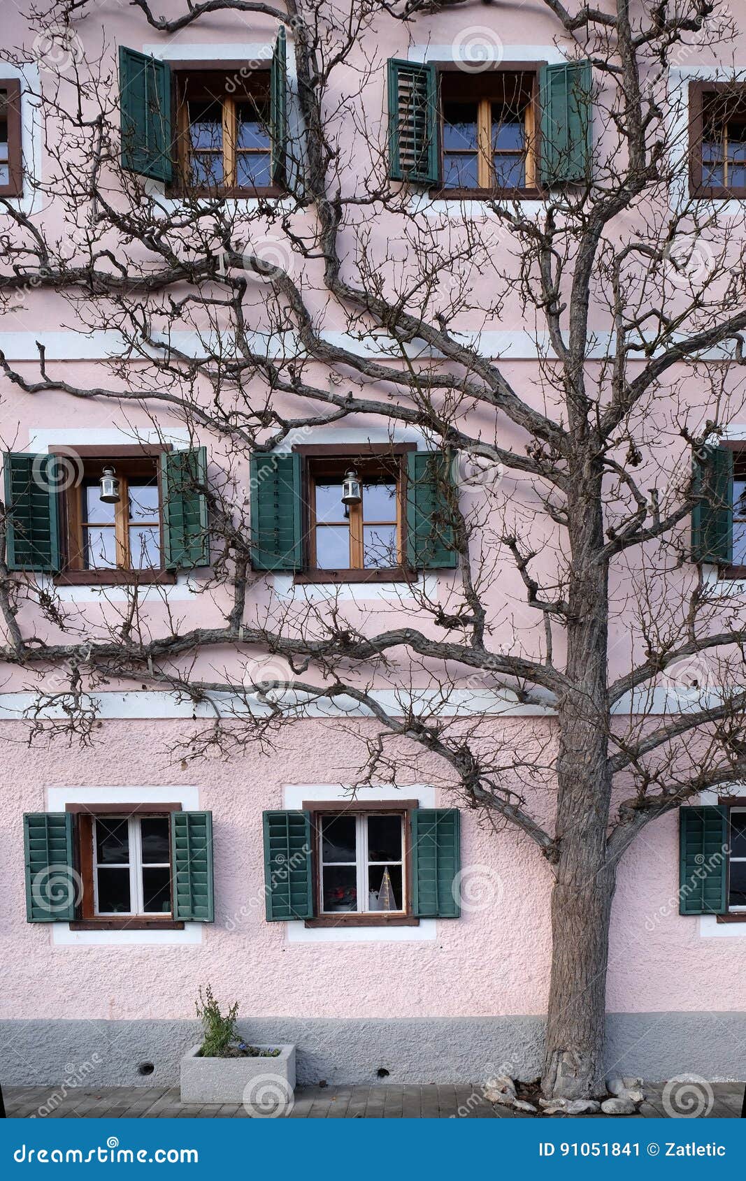 The Tree Grows Next To the House Stock Image - Image of shutter ...