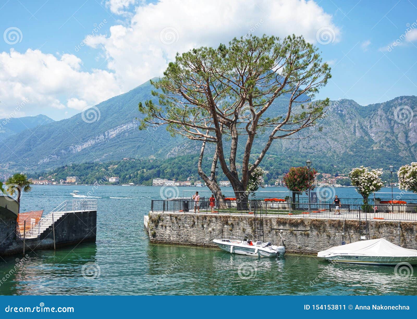 The Tree Grows on the Pier of Lake Como. Bellagio Editorial Photo ...