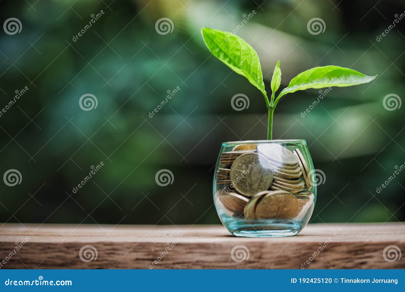 Tree Grows from a Pile of Coins, Investment, Sustainable Development ...