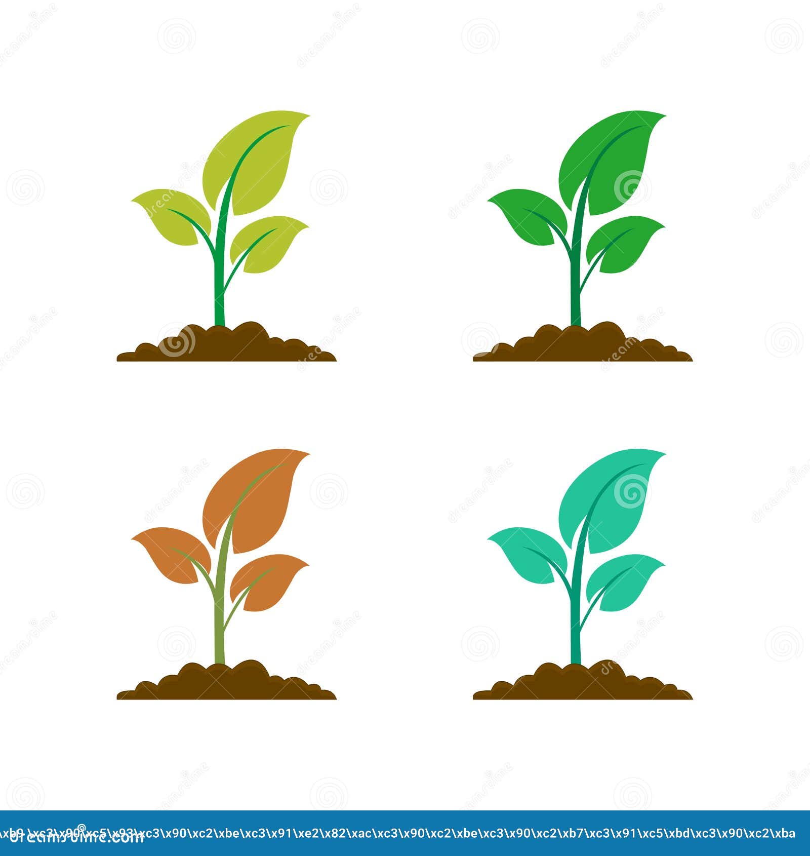 The Tree that Grows from Seed is a Big Tree with Green Color and the ...