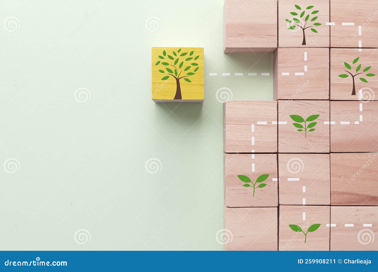 Tree growth concept stock image. Image of space, phases - 259908211