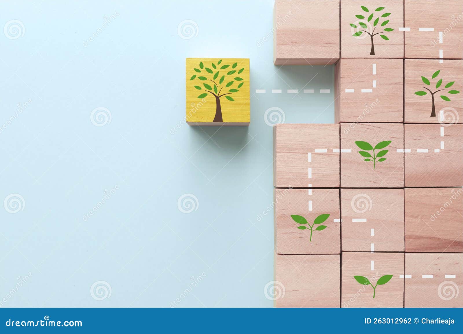 Tree growth concept stock photo. Image of seedling, business - 263012962