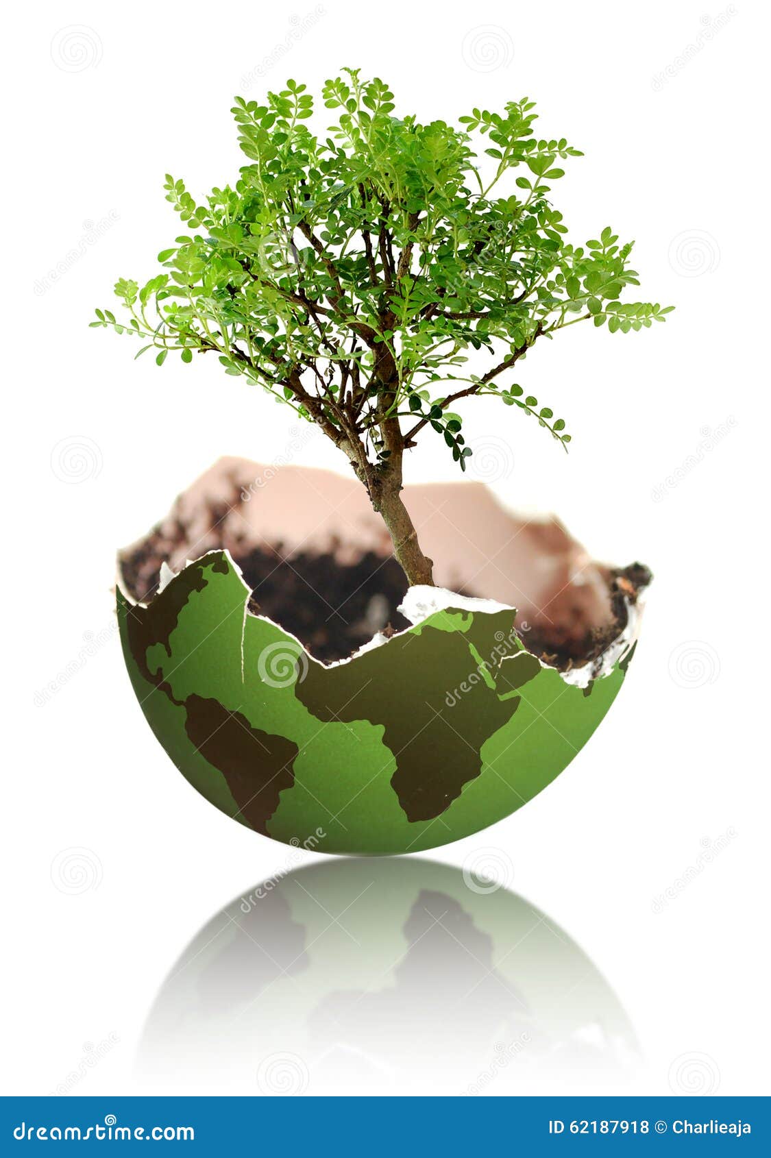 Tree growth from earth stock photo. Image of growth, atlas - 62187918