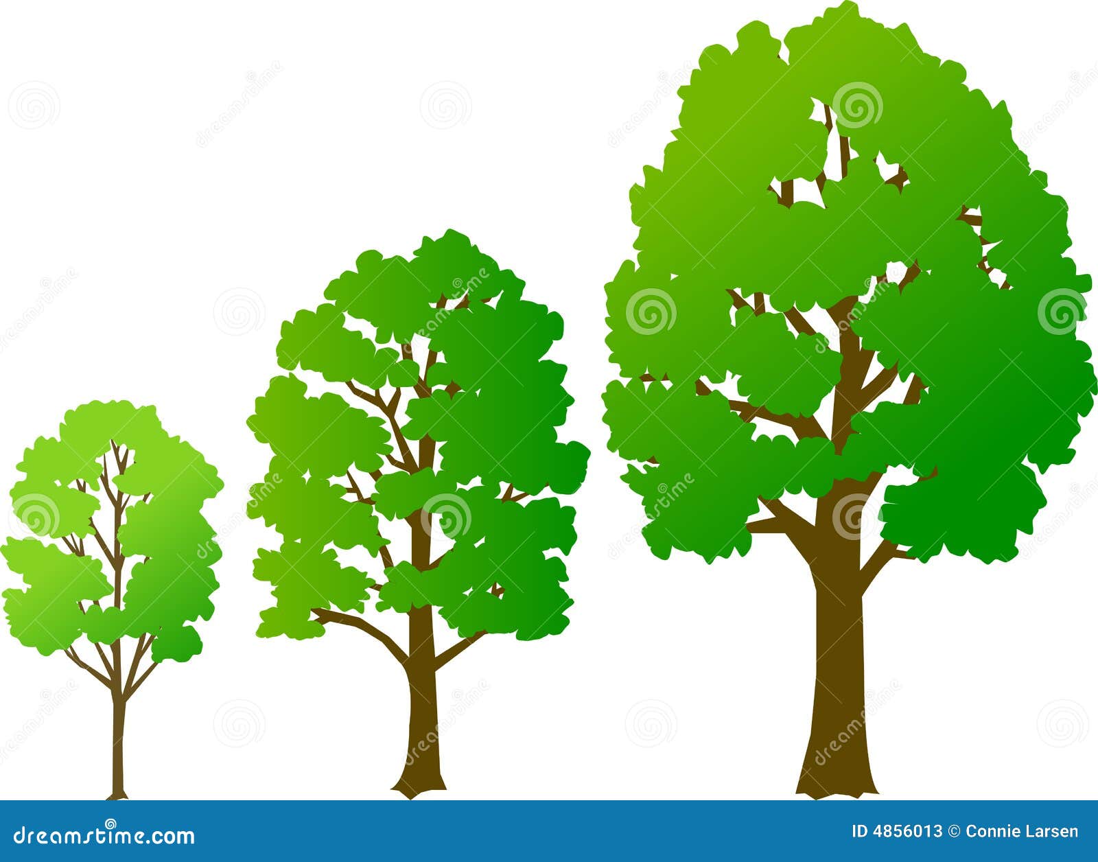 Tree Growth/eps stock vector. Illustration of growing - 4856013
