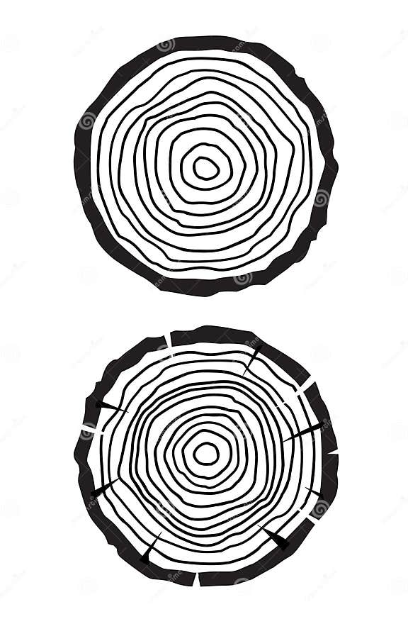 Tree growth rings stock vector. Illustration of organic - 57934113