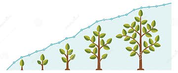 Tree Growth Speed Line Graph. Infographic Chart Stock Vector ...