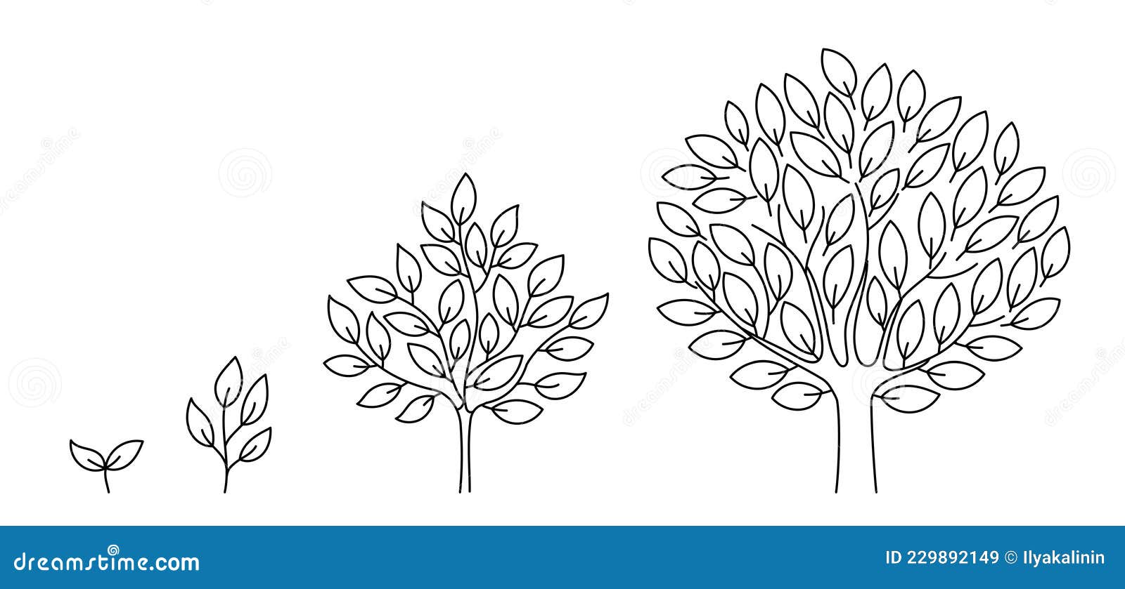 Tree Growth Stages. Seedling Development Stage. Animation Progression ...