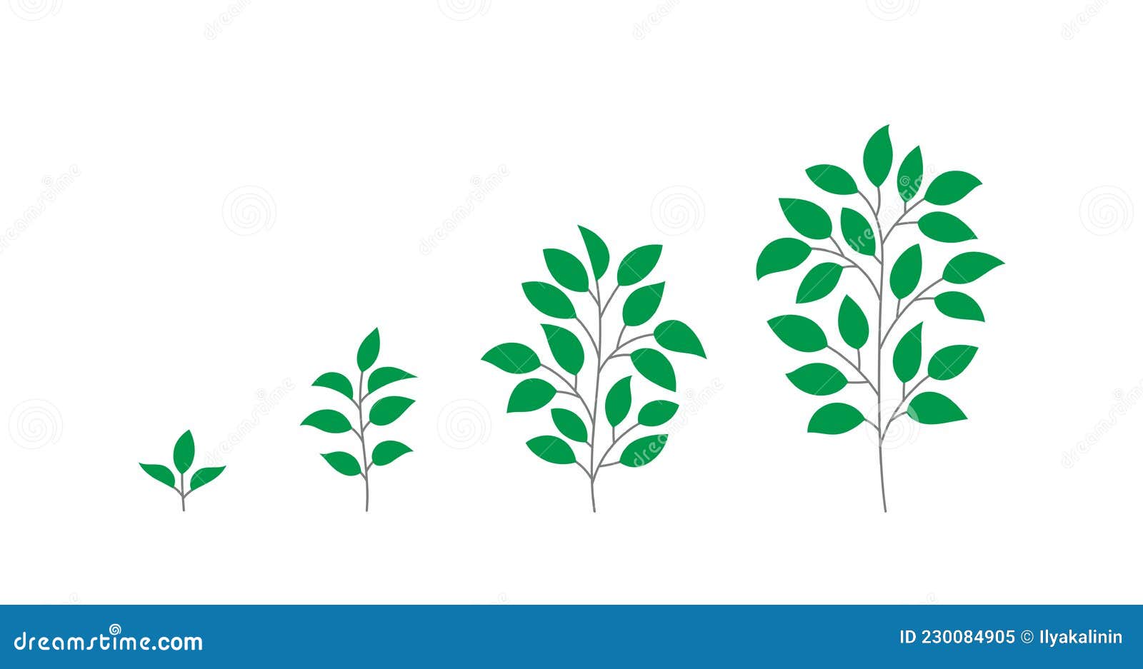 Tree Growth Stages. Seedling Development Stage. Animation Progression ...