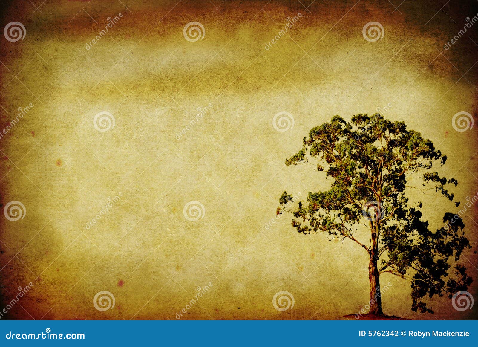 Gumtree Texture Stock Illustrations – 77 Gumtree Texture Stock ...