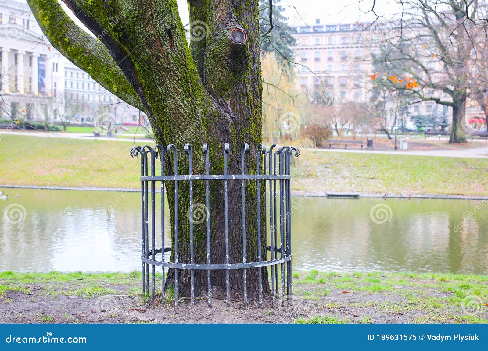 Tree Guard Fence Near the Tree in the Park Stock Image - Image of ...