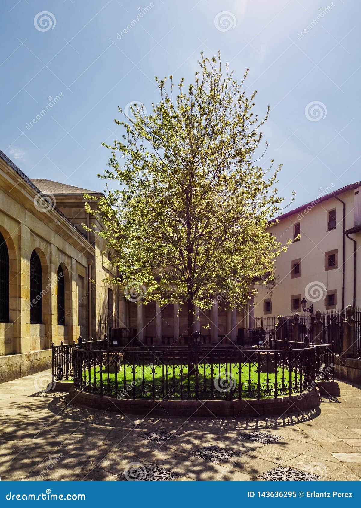 The Tree of Guernica Gernika, Basque Country Stock Image - Image of ...
