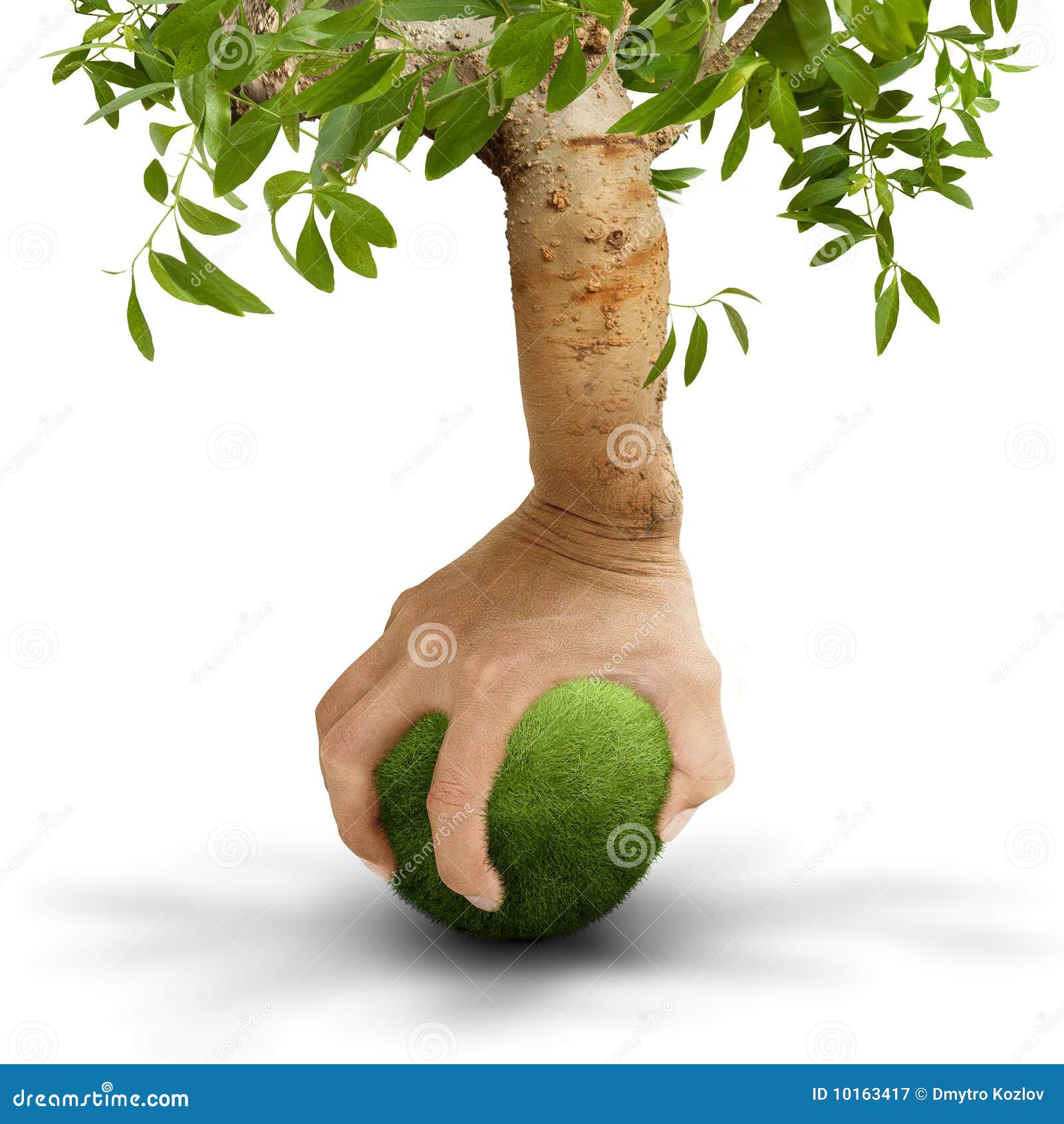 Tree hand stock illustration. Illustration of isolated - 10163417