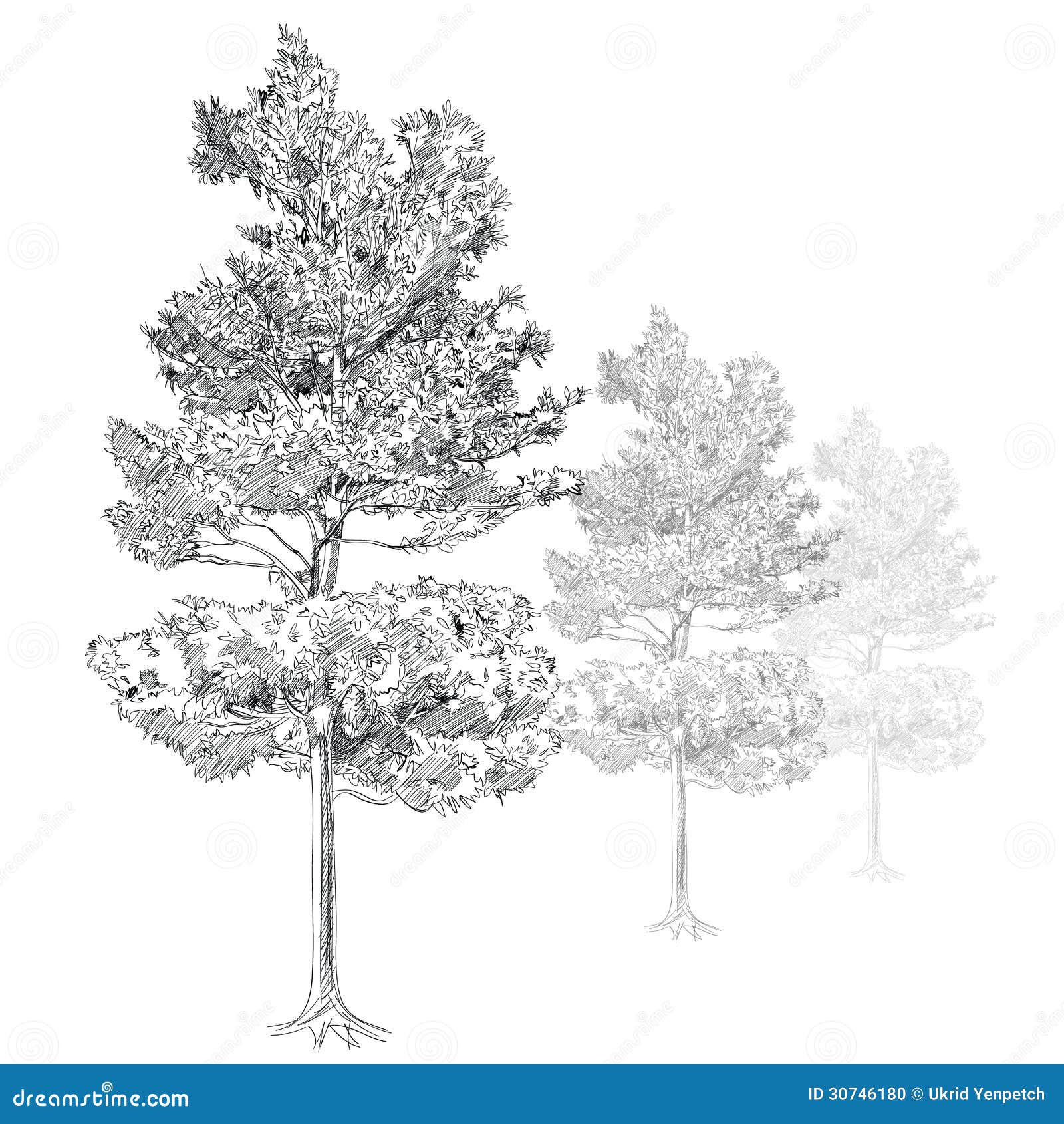 Tree - Hand Drawn stock vector. Illustration of sketch - 30746180