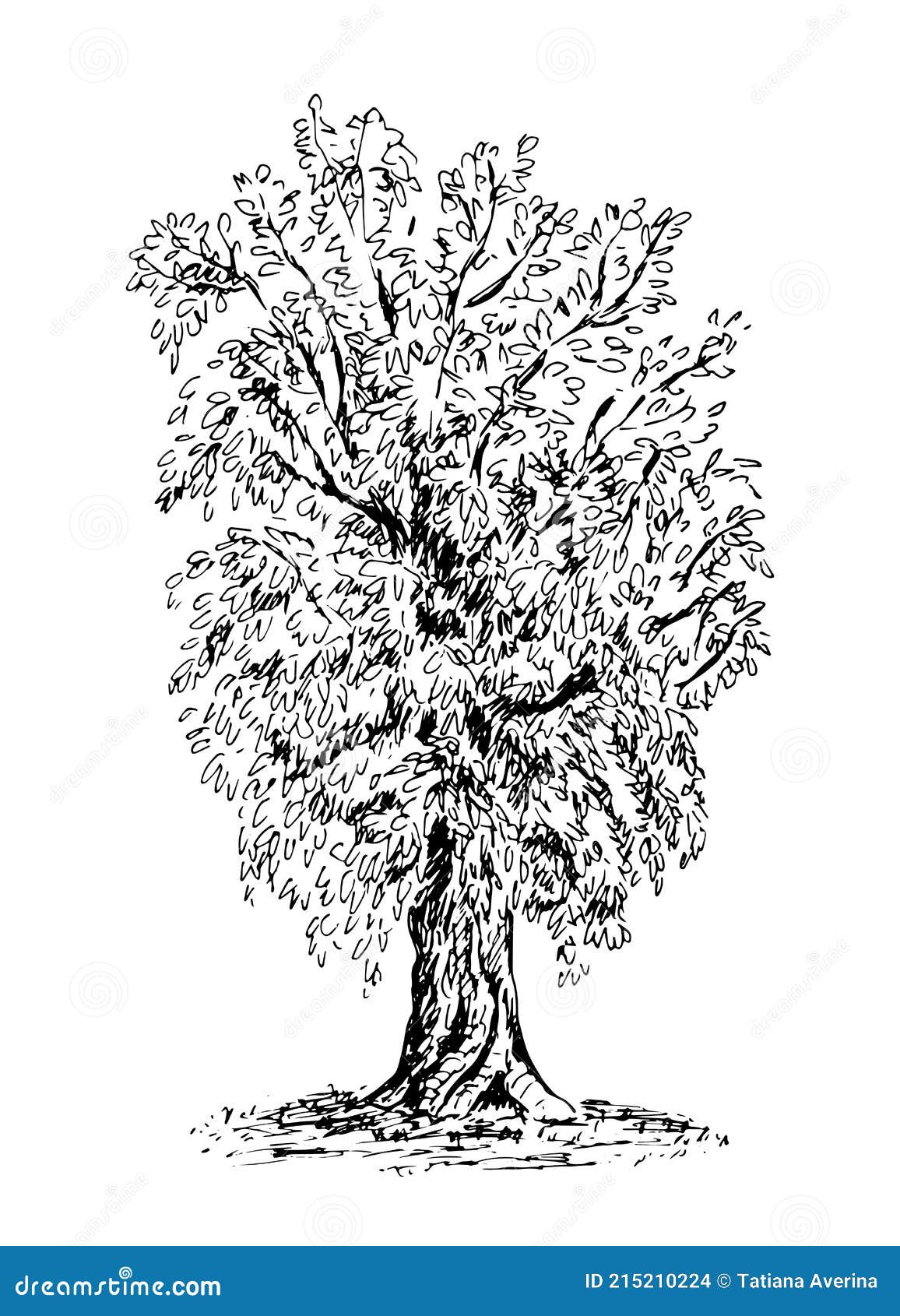 A Tree, Hand Drawn Black and White Sketch. Vector Illustration Stock ...