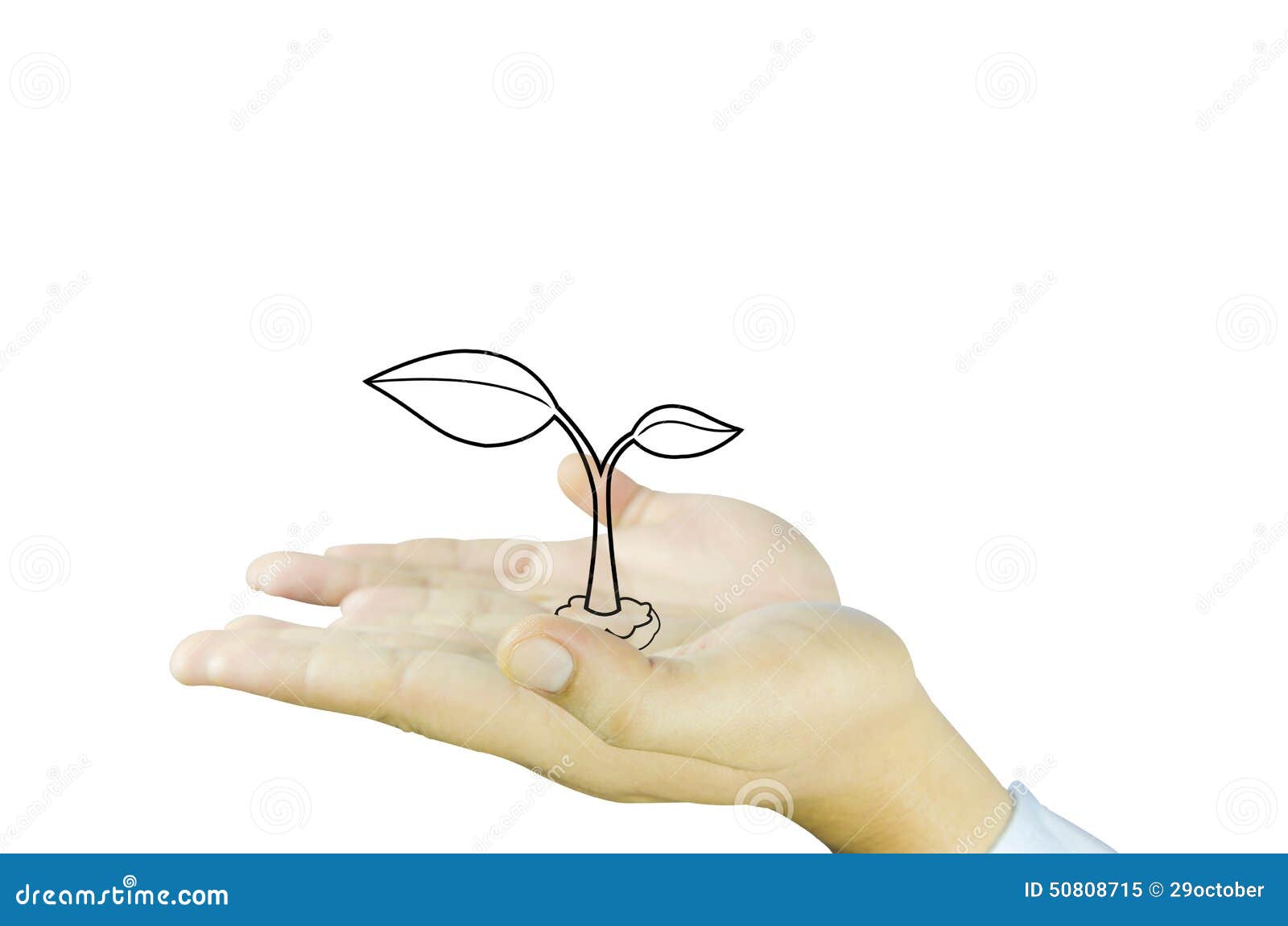 Tree on hand stock image. Image of reduce, gesture, person - 50808715