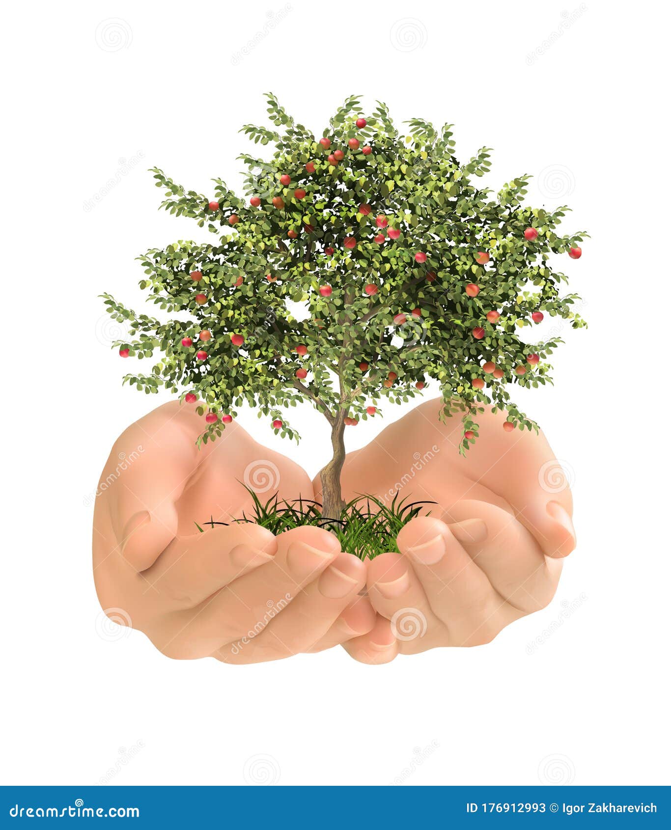 The Tree in the Hands. Vector Illustration Stock Illustration ...