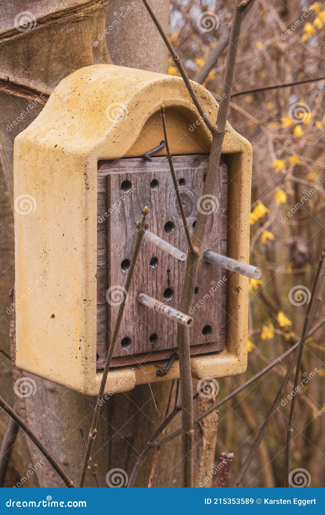 On the Tree Hangs an Insect Hotel for Overwintering Insects Stock Image ...