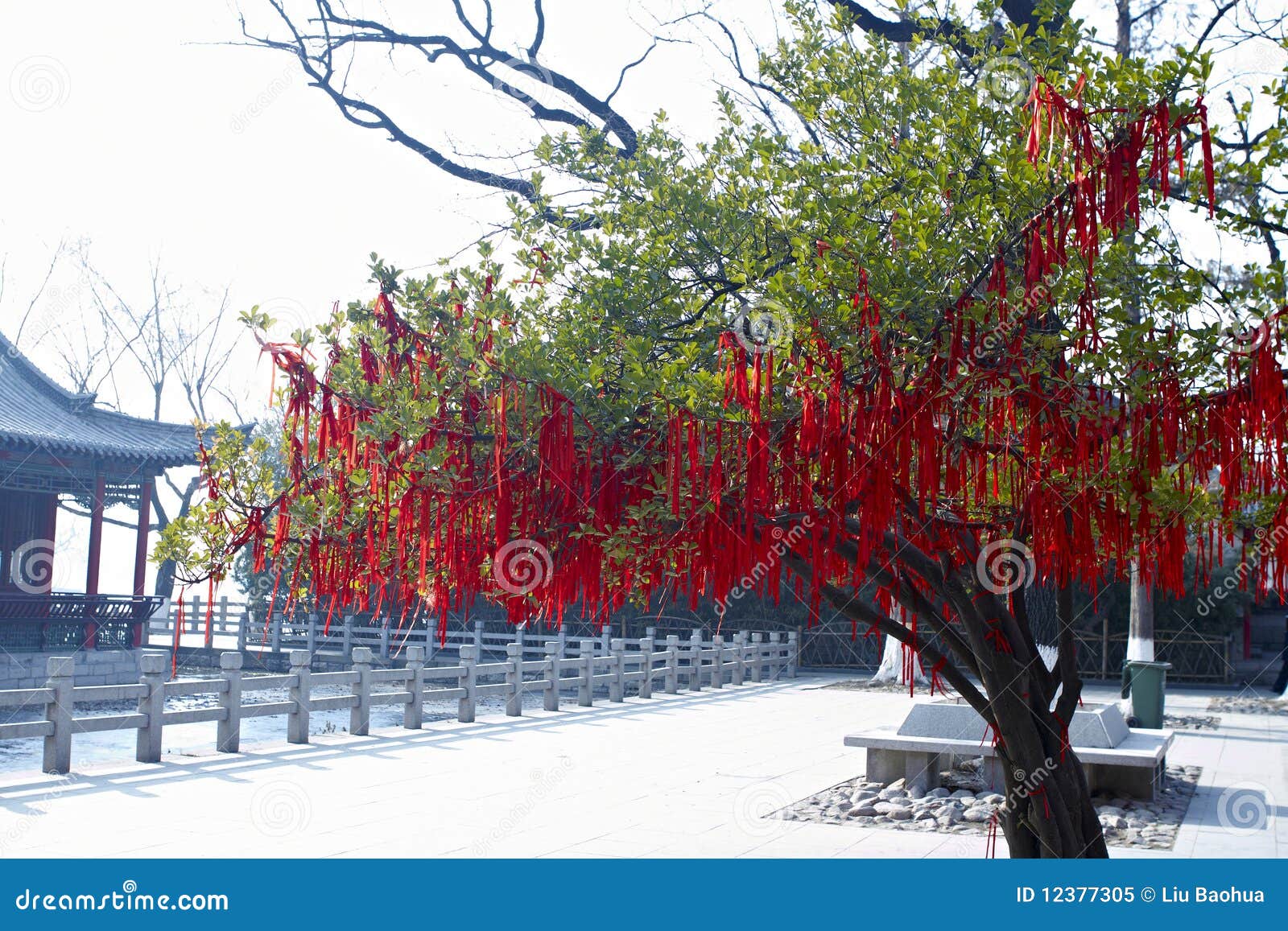 Tree hangs many red list stock image. Image of hope, chinese - 12377305