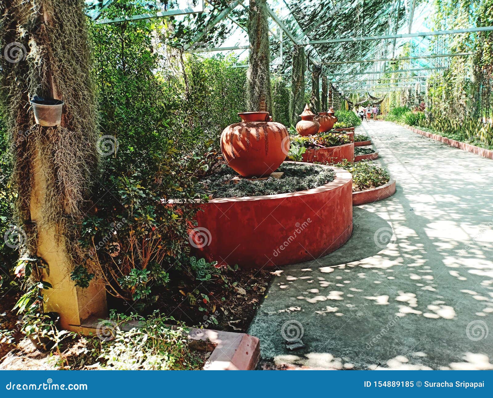 Tree with happiness stock image. Image of happiness - 154889185