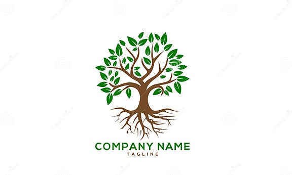 Tree health logo designs stock vector. Illustration of ecologic - 273172524