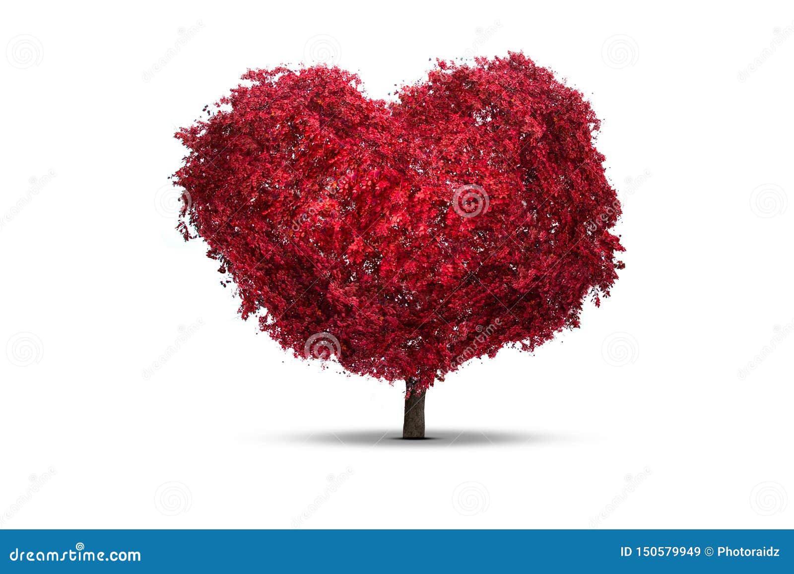 Tree Heart Isolated on a White Background Stock Image - Image of jungle ...