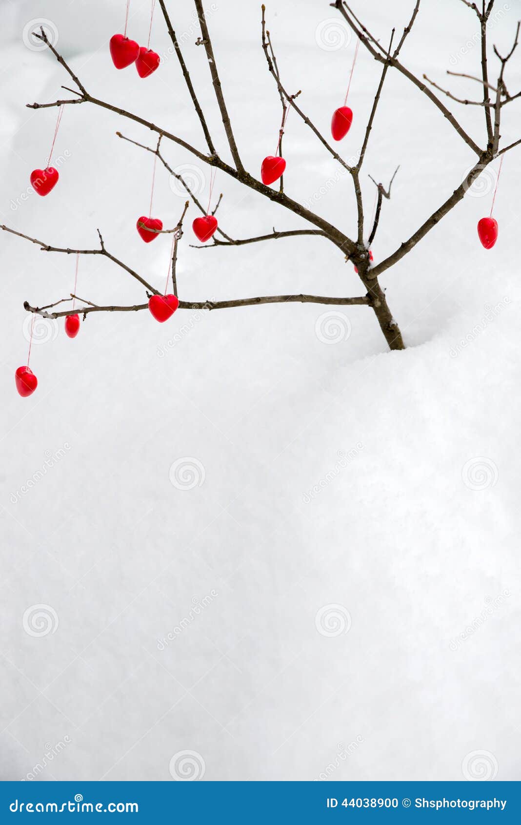 Tree of Hearts in the Snow stock photo. Image of love - 44038900