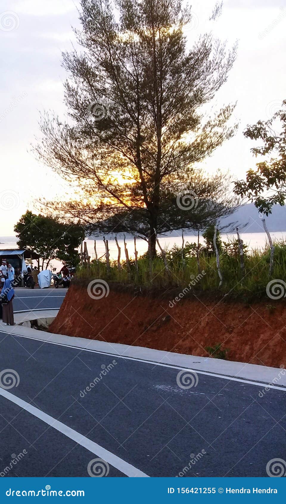 Tree at the Height of the Road Stock Image - Image of color, farming ...