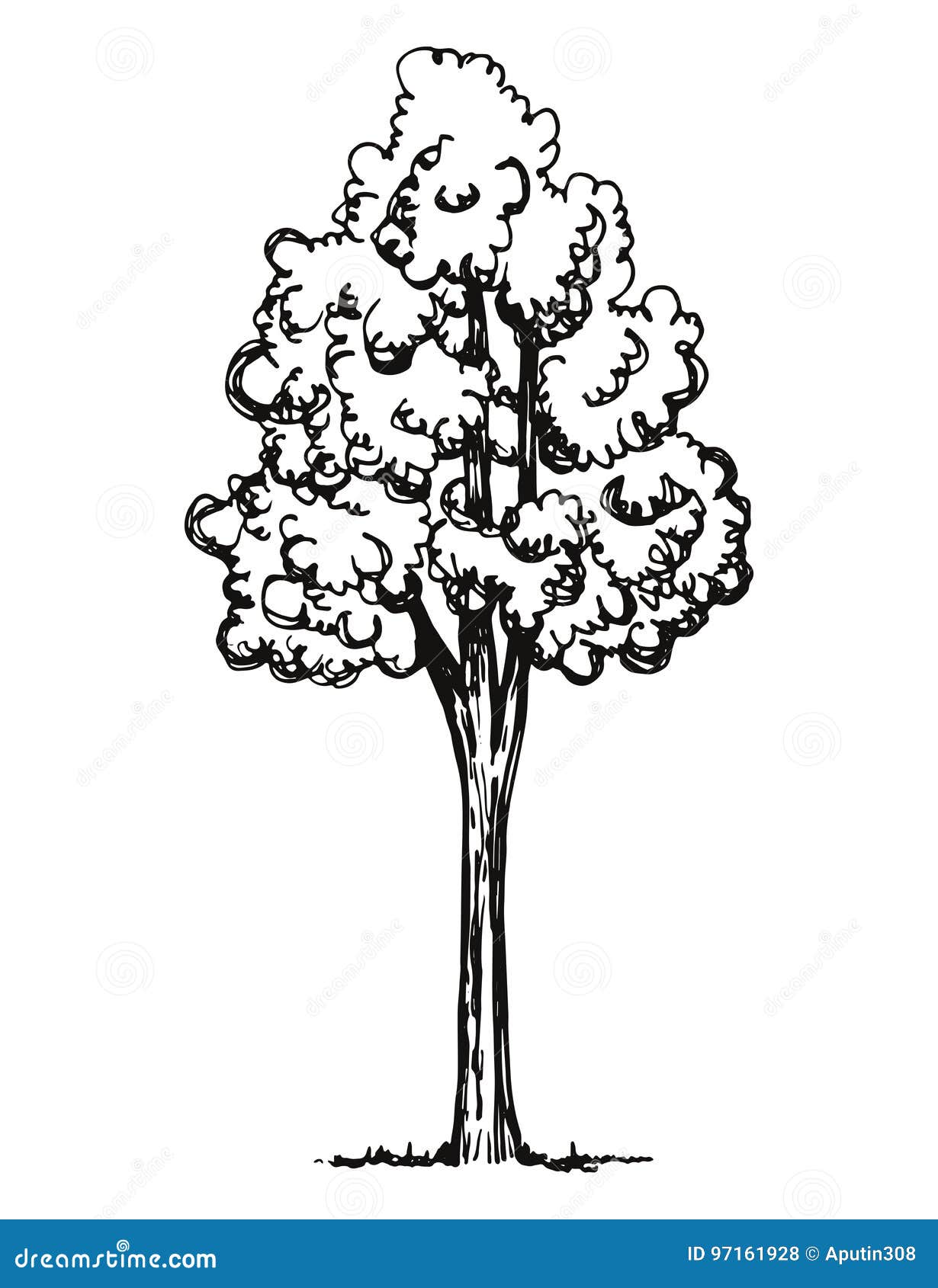 Tree High Hand Drawing Vector Stock Vector - Illustration of beautiful ...