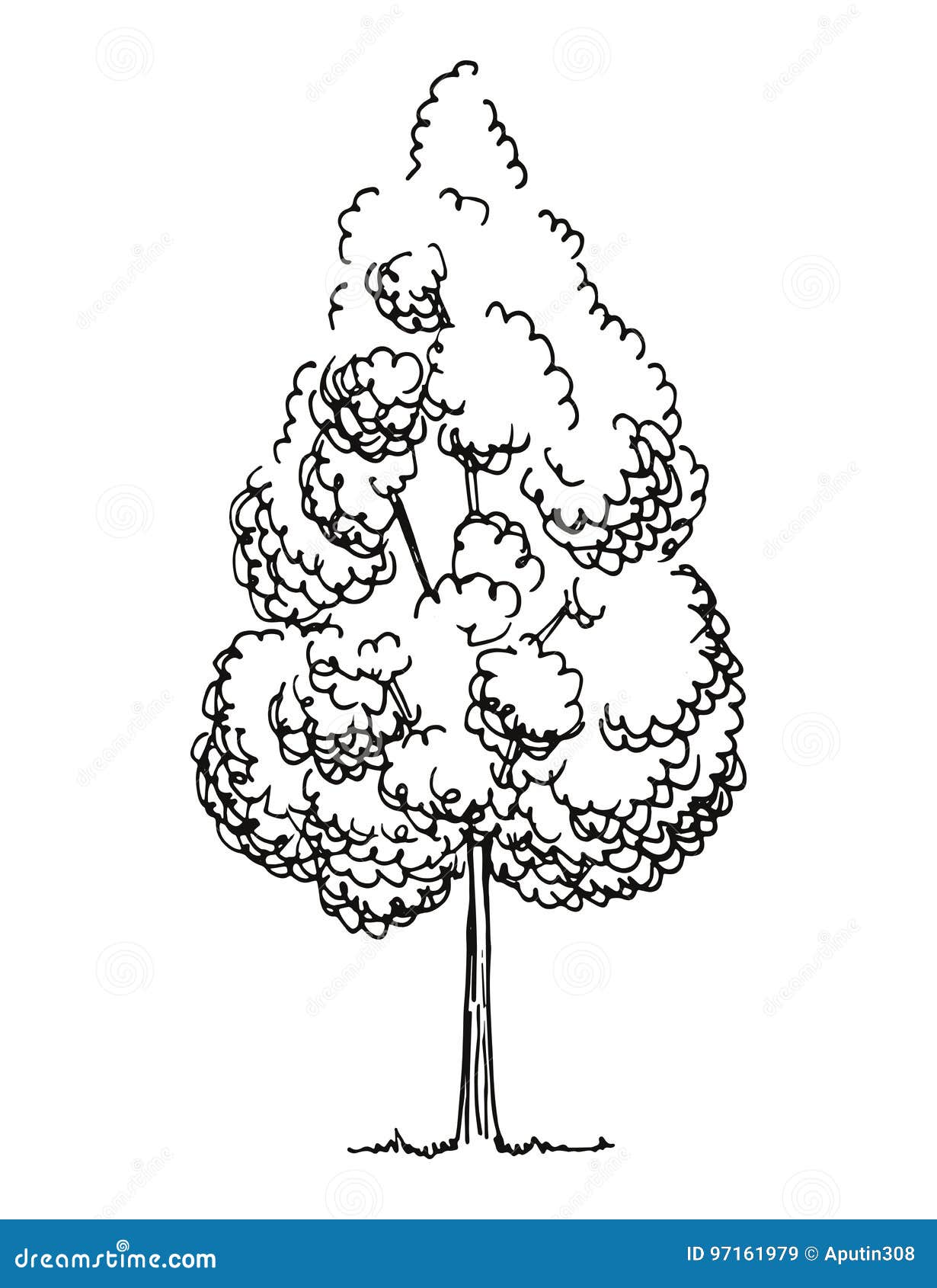 Tree is High. Hand Drawing Vector Stock Vector - Illustration of ...