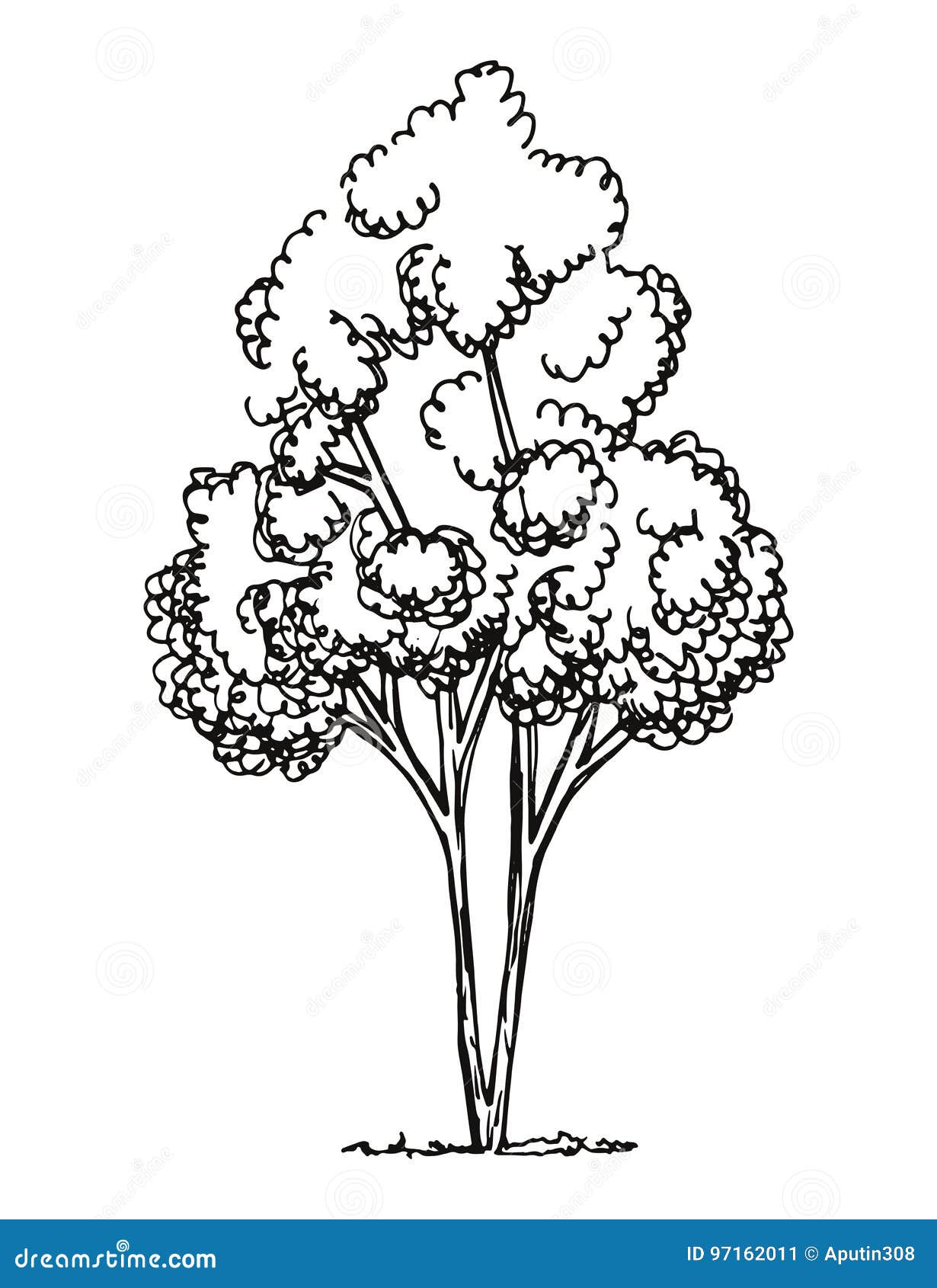 Tree is High. Hand Drawing Vector Stock Vector - Illustration of leaves ...