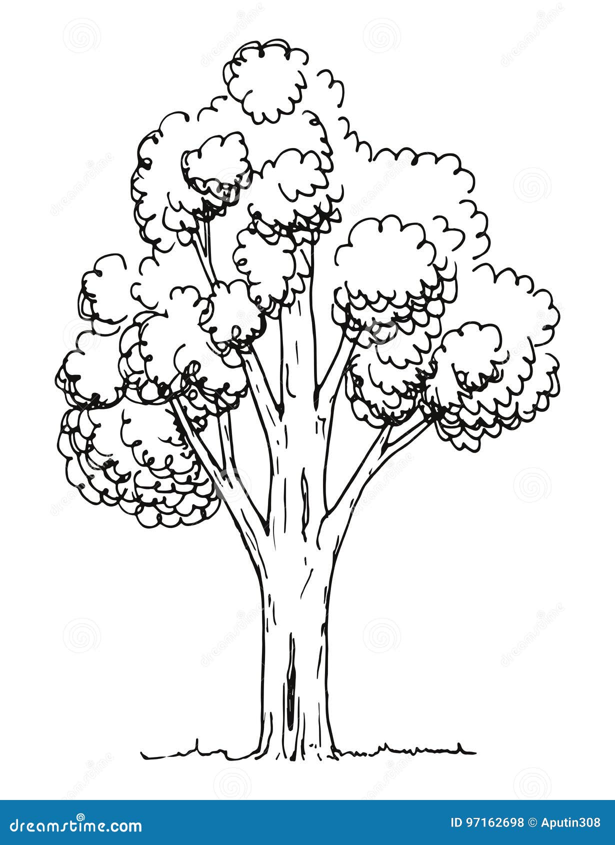 Tree is High. Hand Drawing Vector Stock Vector - Illustration of ...