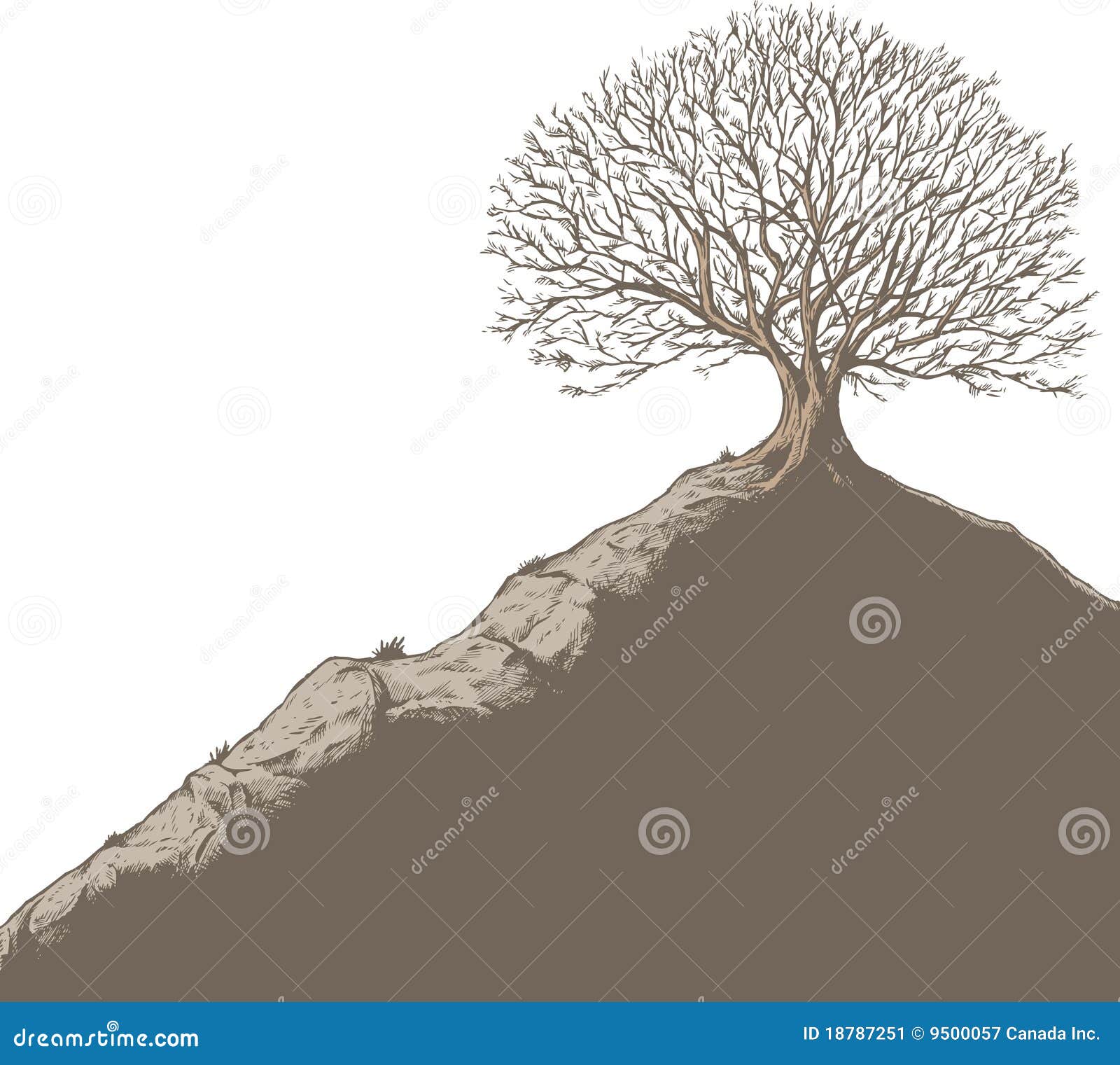 Tree on a hill stock vector. Illustration of tree, mountain - 18787251