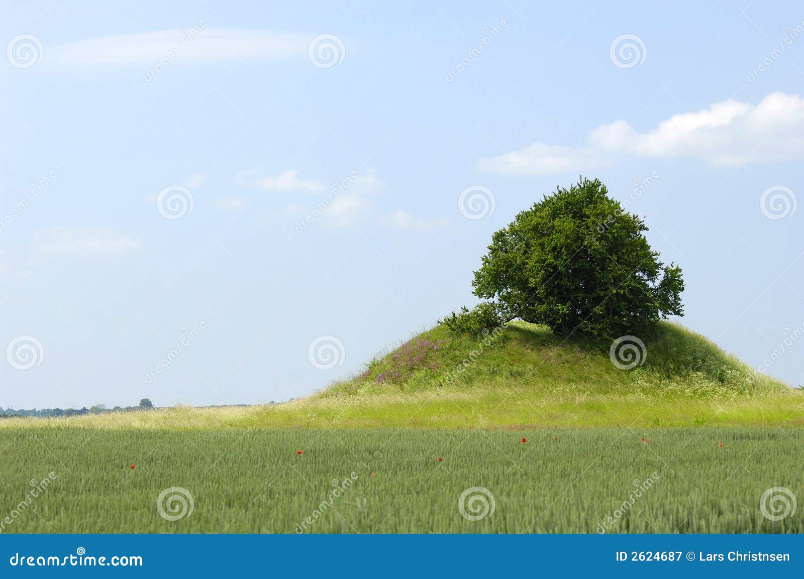 Tree and hill stock image. Image of beautiful, fresh, green - 2624687